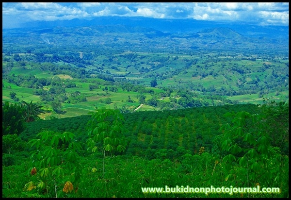 Bukidnon Photo Journal: Field Work Photos: Matampay, Kadingilan, Bukidnon