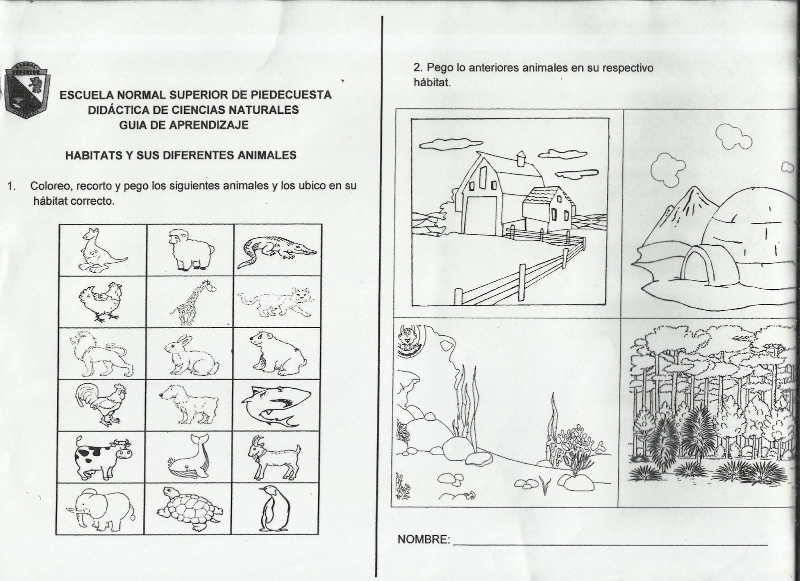 Mini Clases Grado 1° | Didáctica de Ciencias Naturales