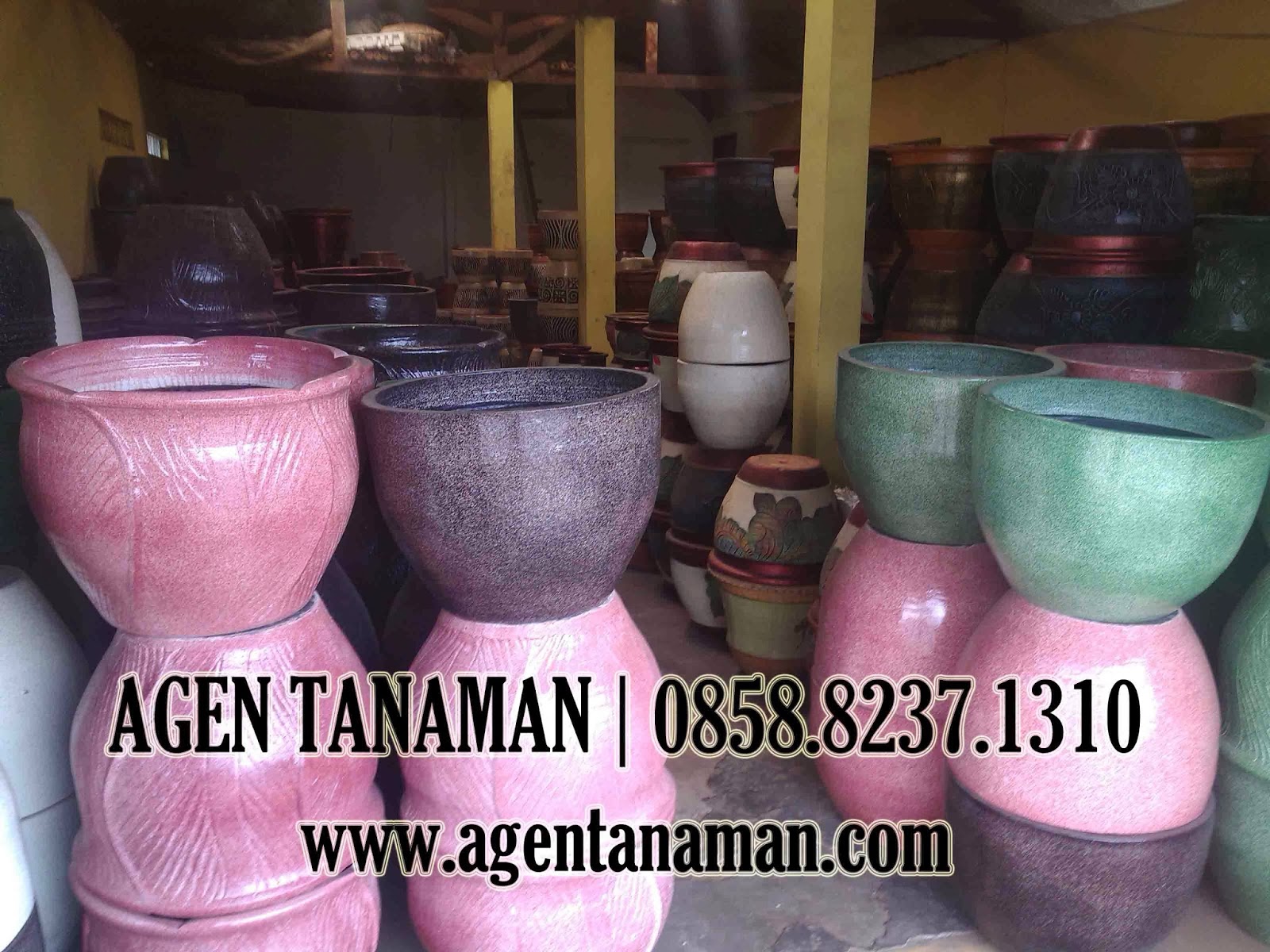 POT HIAS | POT MOTIF WARNA | JUAL POT HIAS BUNGA ~ AGEN TANAMAN