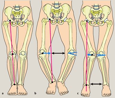 Rekrutmen Polri Tips dan Trik Lolos Seleksi - Polisi Tactica