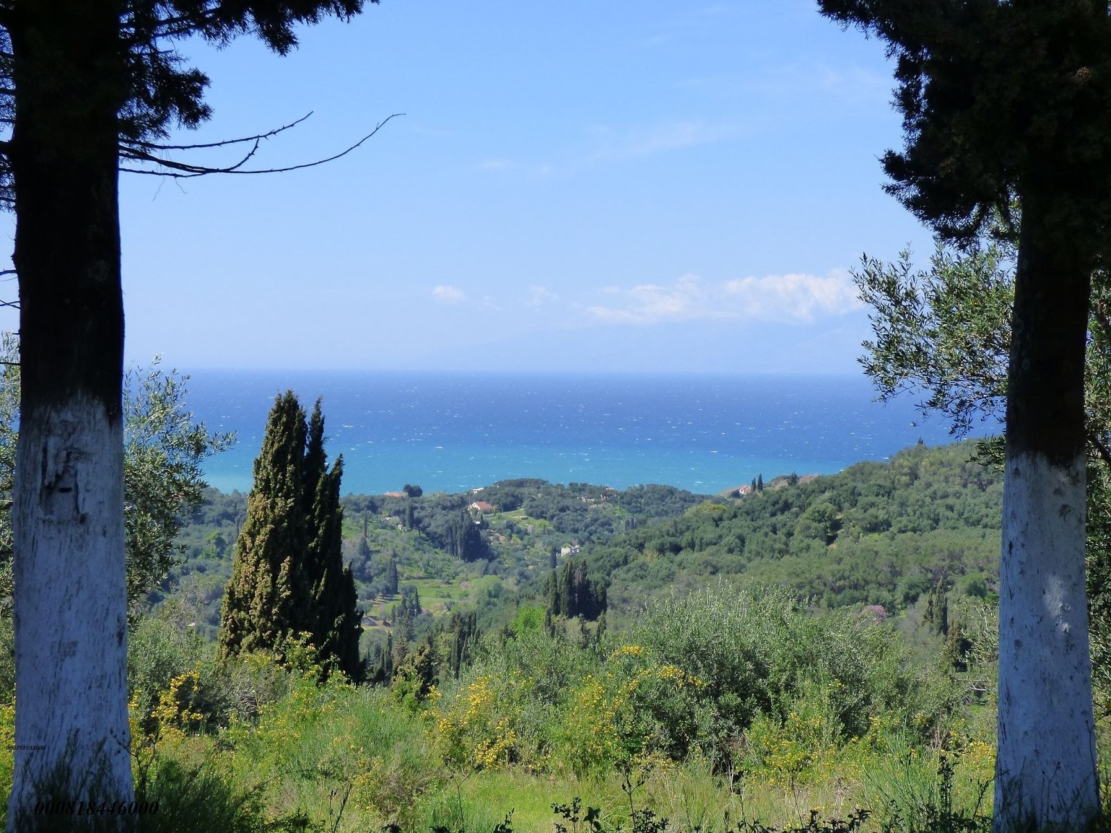Cosmos - Nature: ΚΕΝΤΡΙΚΗ και ΒΟΡΕΙΑ ΚΕΡΚΥΡΑ
