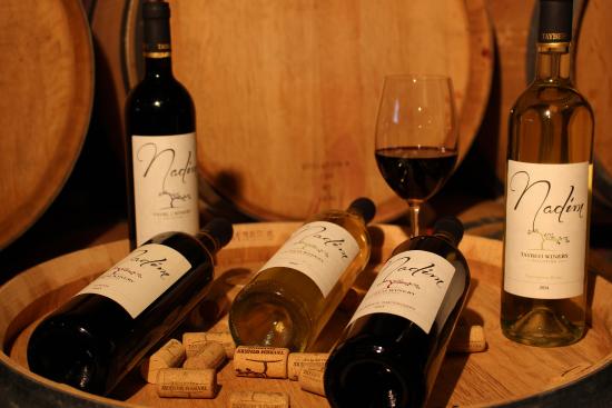 Mich Café: Cheers to Palestine’s beer... Taybeh!