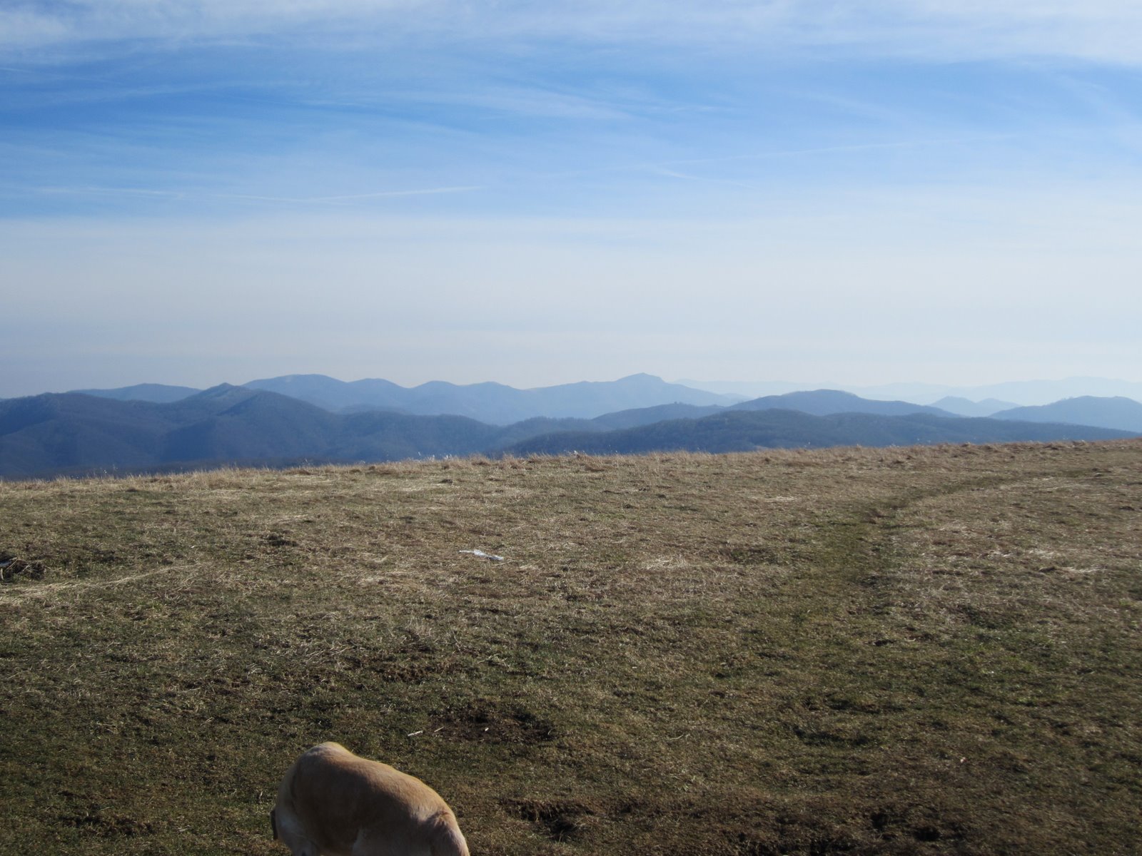 Hiking--Canoeing--Backpacking--Camping--Living: Max Patch ...