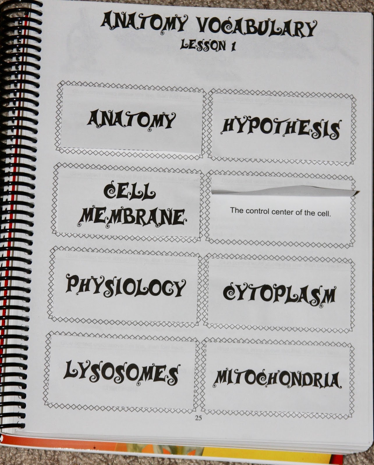 A Learning Journey: Human Anatomy and Physiology Vocabulary