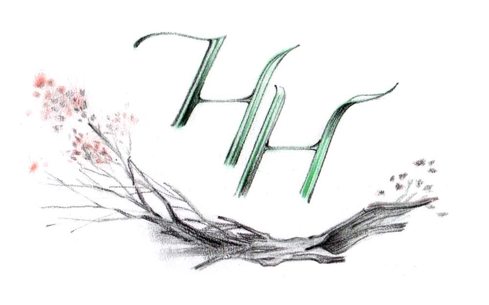 Junyi Wu - Illustration Blog