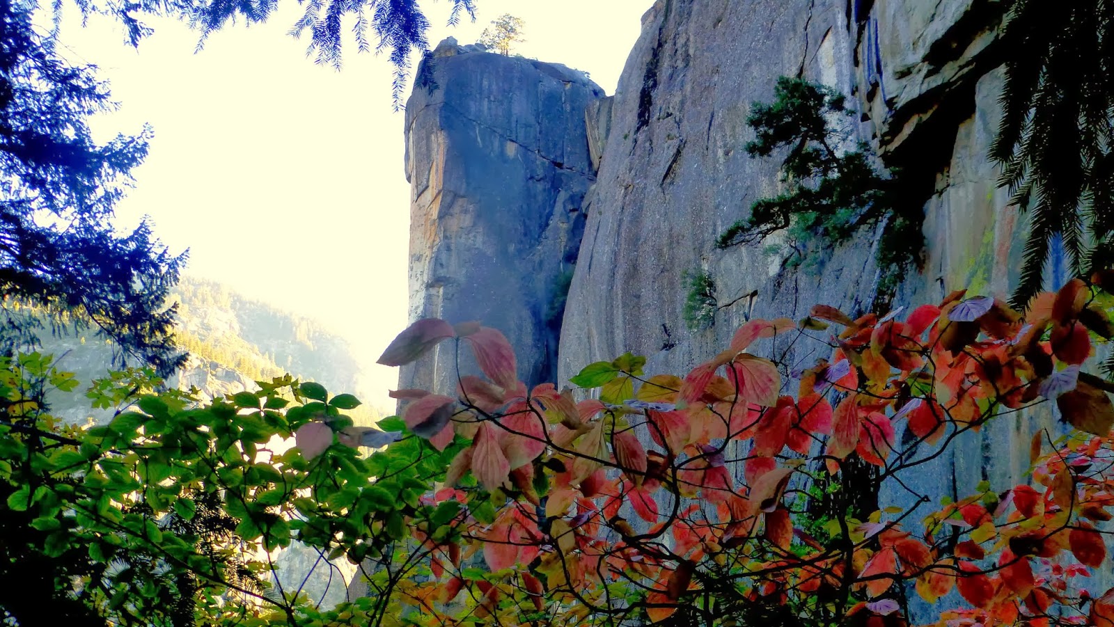 Sending The Gnar! :): North Face of The Rostrum (IV 5.11c)