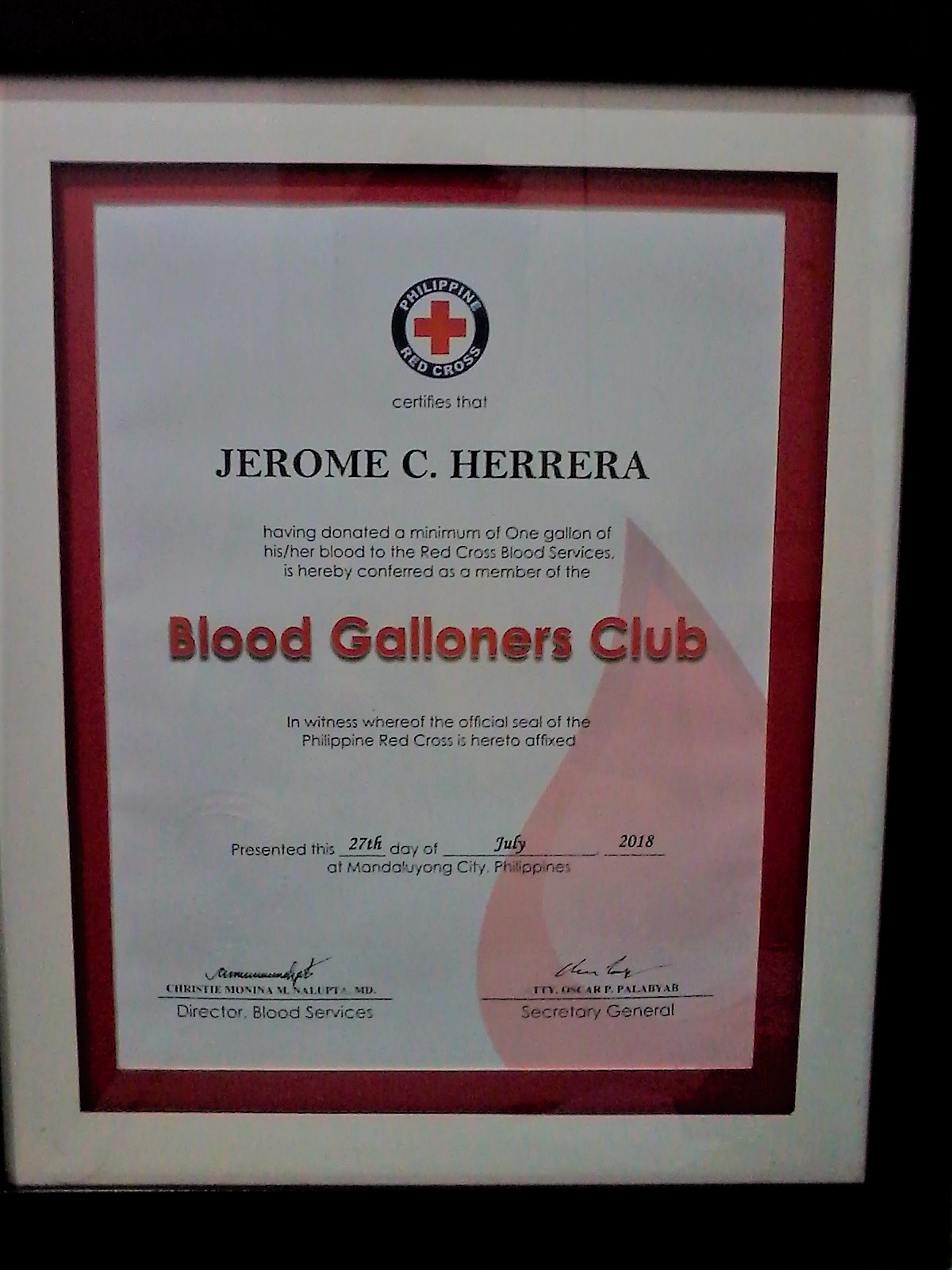 My Platelet Apheresis Donation Experience