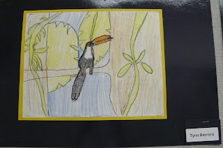 Learning in Room 206: Toucan Directed Drawings