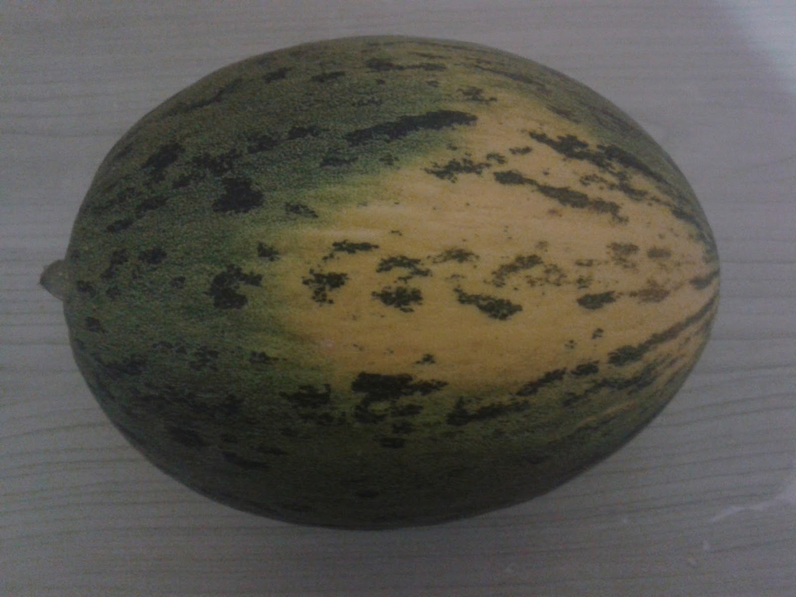 CALIDAD DE FRUTO DE MELON: Melones en el desierto tunecino