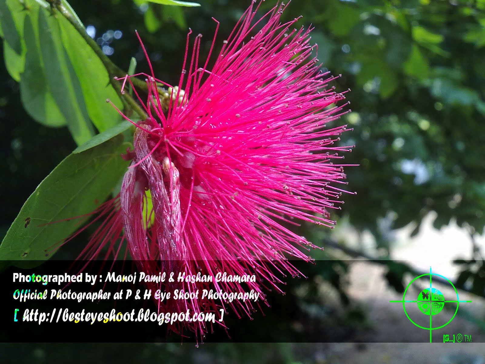 Sri Lanka Best Nachural Photography P & H Eye Shoot Photography - P & H ...