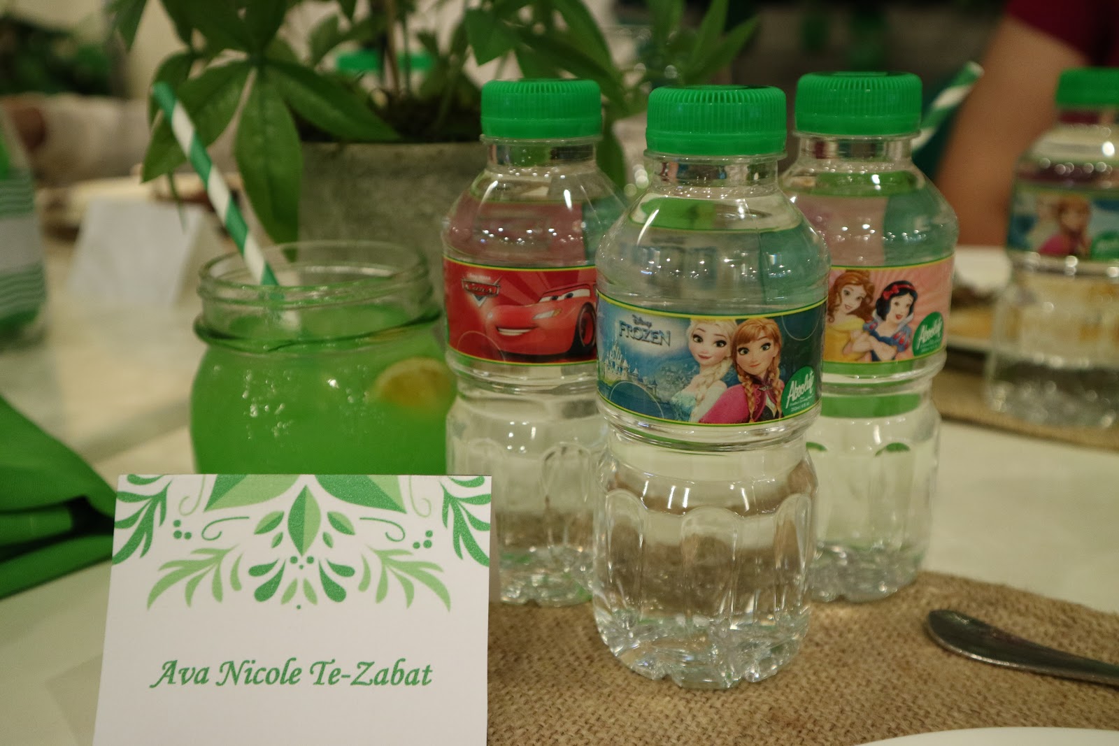 Absolute x Disney ♥ - ARTSY FARTSY AVA