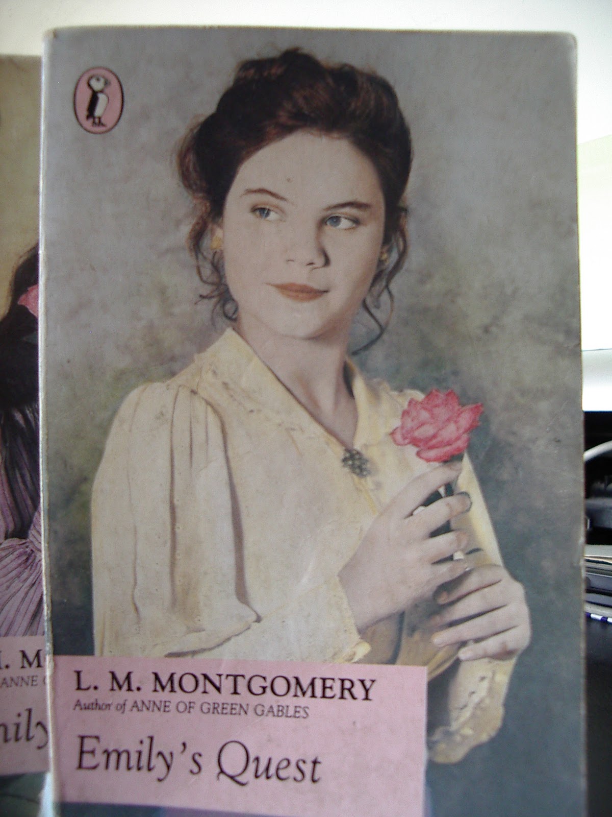 The Book Nook: Why haven't they made the movie: The Emily Series?!