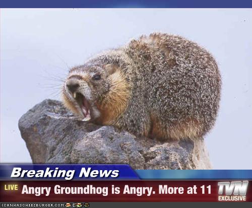 Hot Ink: I'll Take My Groundhog With Extra Cilantro, Thanks