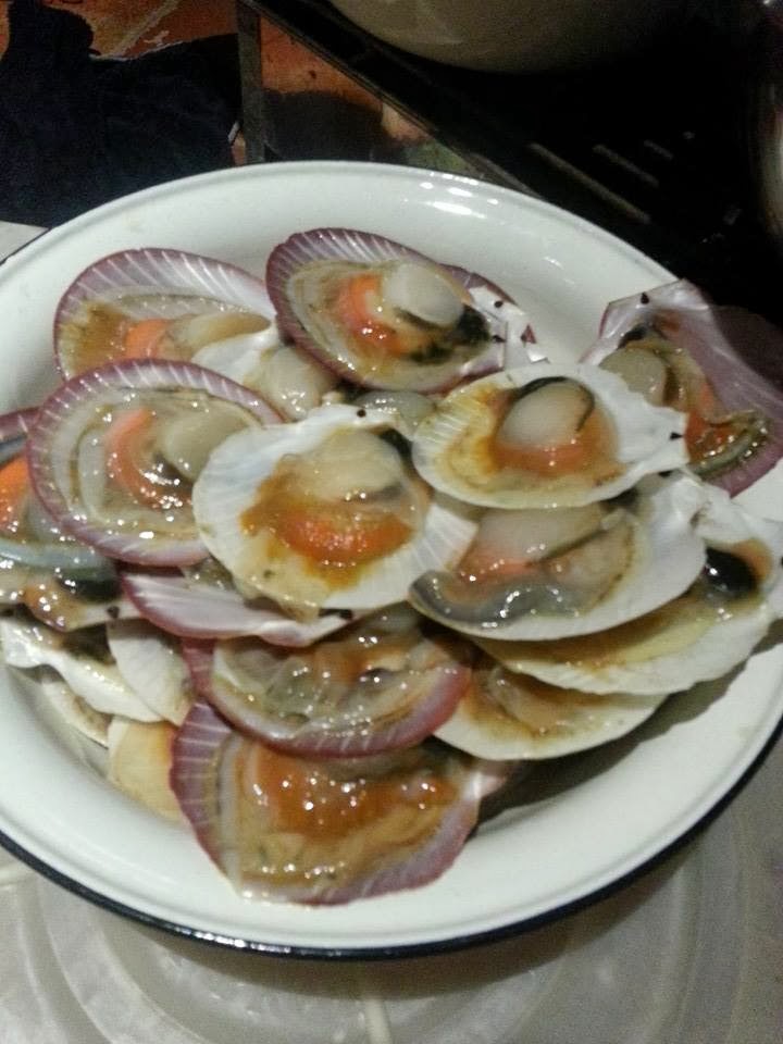 Litestars: Membahas Kerang-Kerangan Yang Dapat Dikonsumsi, Oleh ...