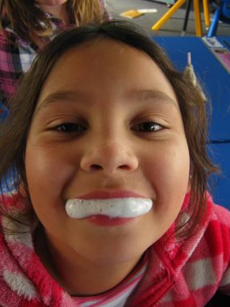 Room 4 Lawrence Area School 2011: Foaming at the Mouth - Sherbet