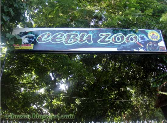 Cebu Zoo: 04/28/11