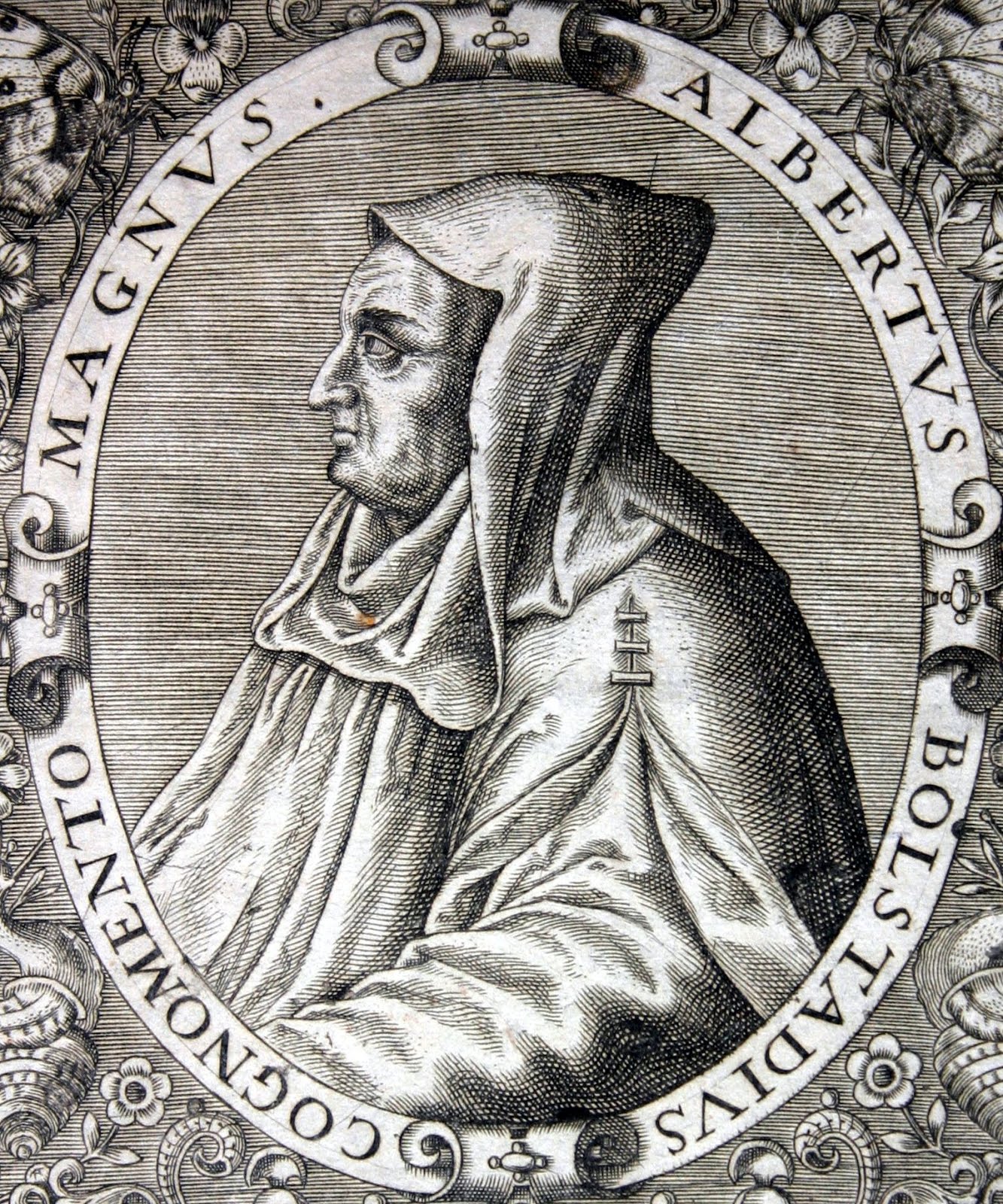 Alberto Magno em DESTAQUE