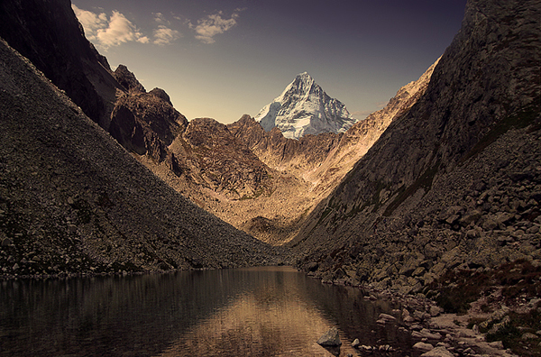 Paper Views: Stunningly Beautiful World