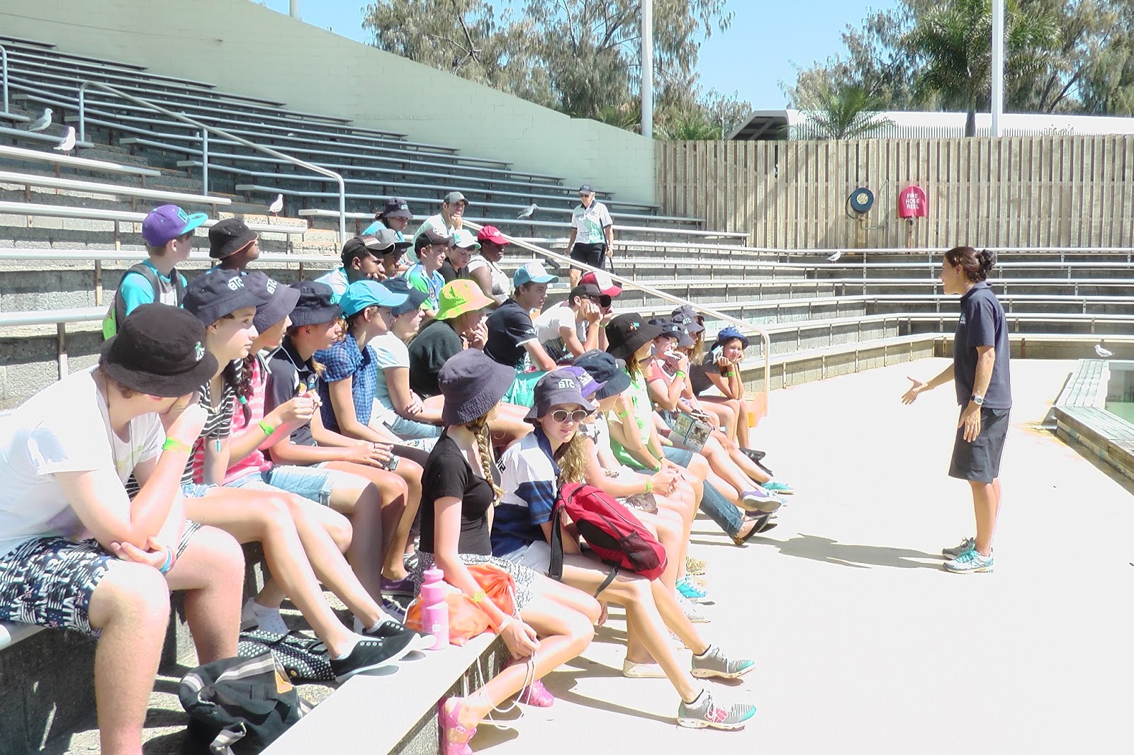 BTC Blog: Tallebudgera Camp