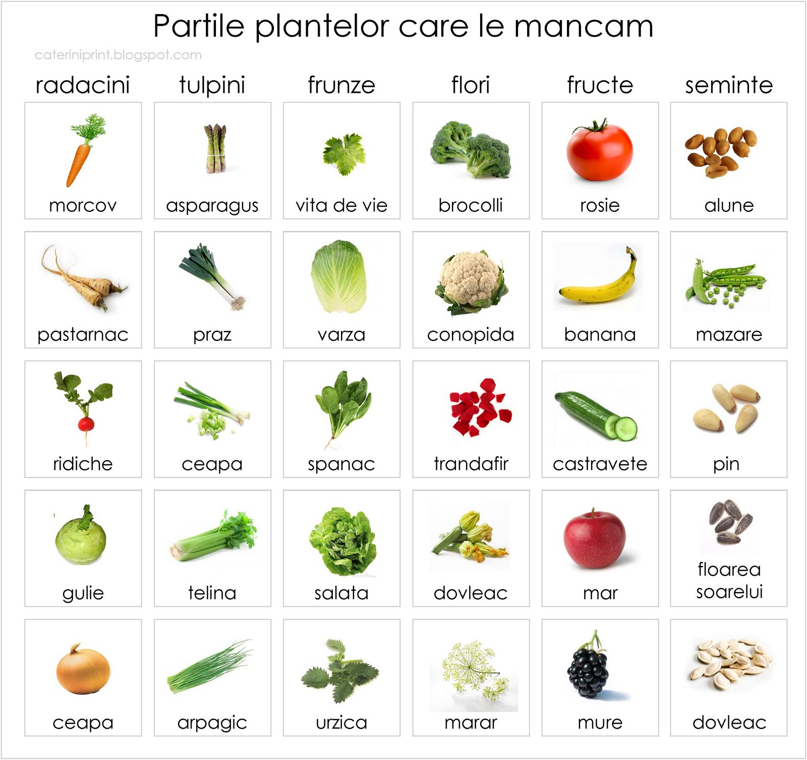 Printabile Montessori: Legume si fructe