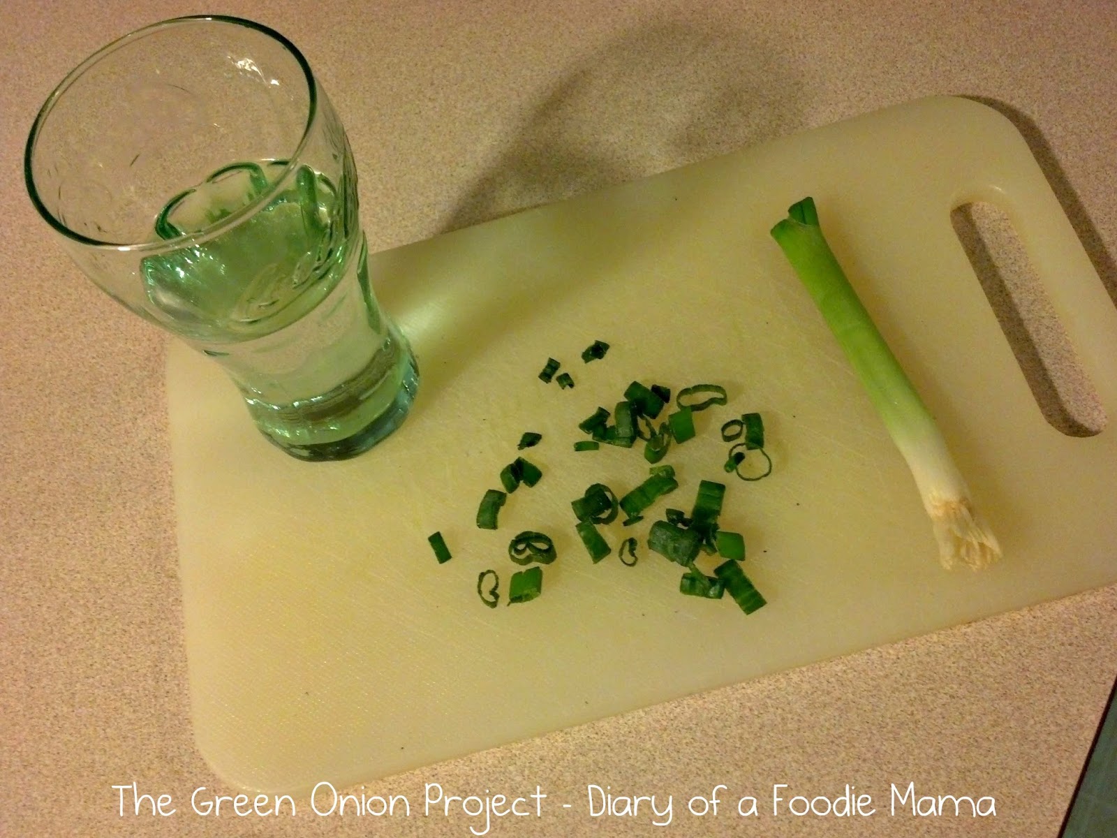 Diary of a Foodie Mama: The Green Onion Project