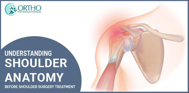 Understanding Shoulder Anatomy Before Shoulder Surgery Treatment understanding-shoulder-anatomy-before-shoulder-surgery-treatment