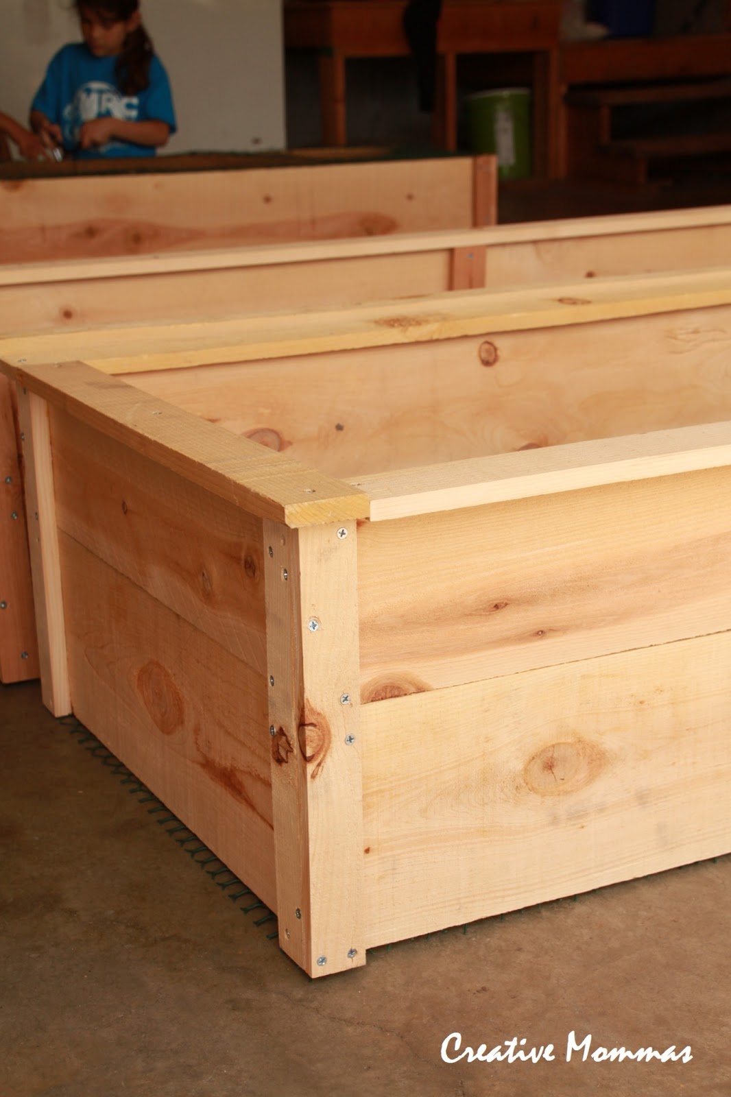 dog proof raised garden beds