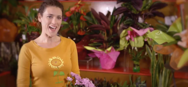 El Blog de Flores Elena: Flores Elena en vídeo