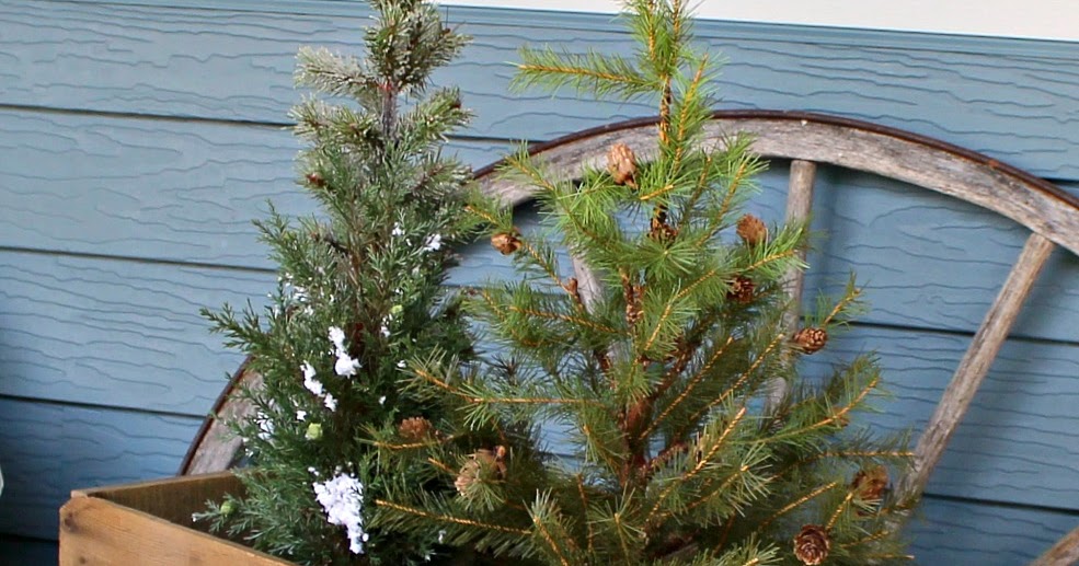 HOLIDAY & SEASONAL | Organized Clutter