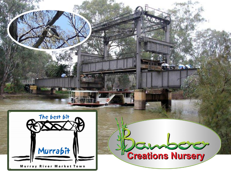 Bamboo Creations Victoria: Market on the beautiful Murray River at Murrabit