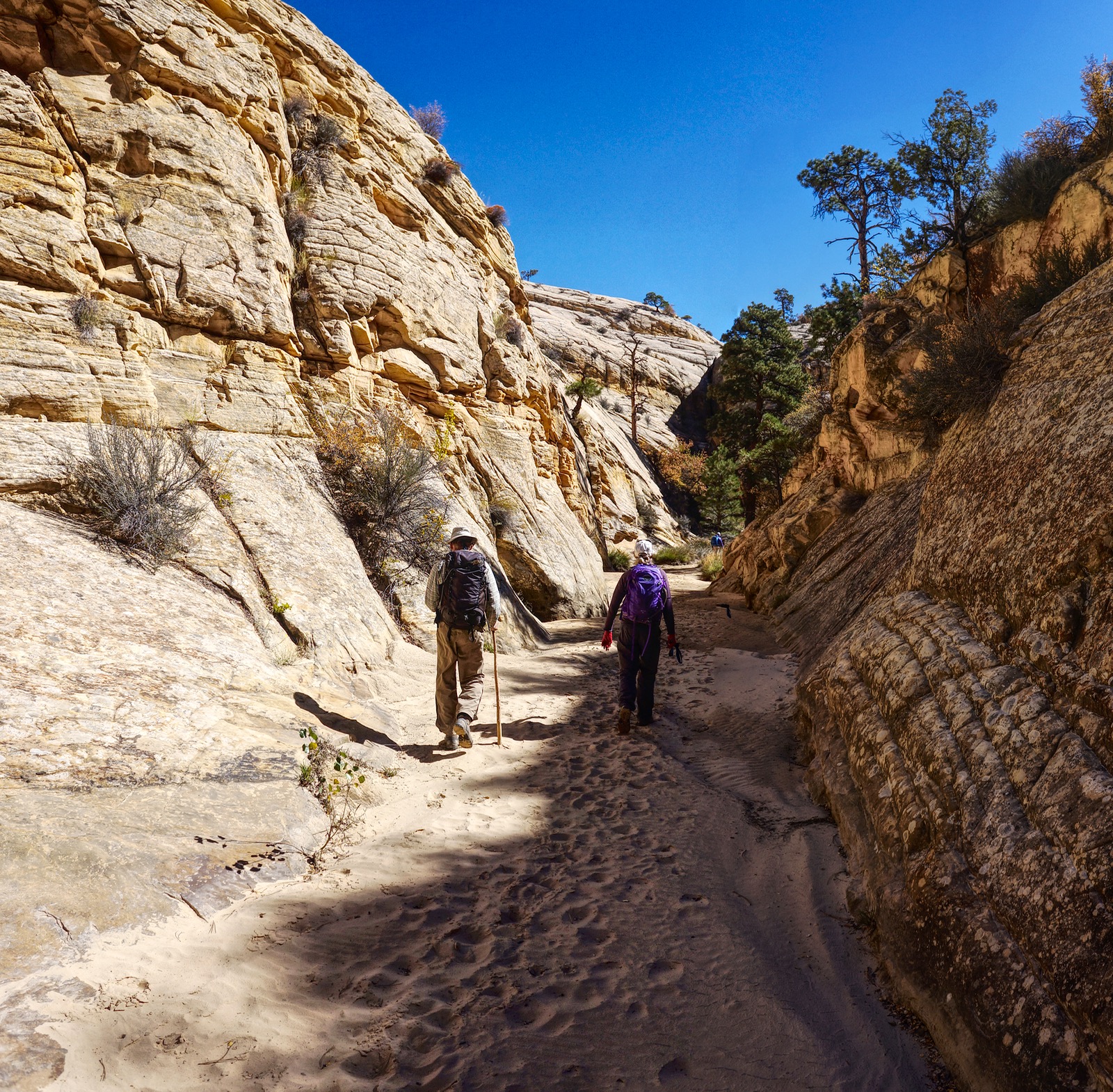 Earthline: The American West: Boulder Mail Trail to Death Hollow and on ...