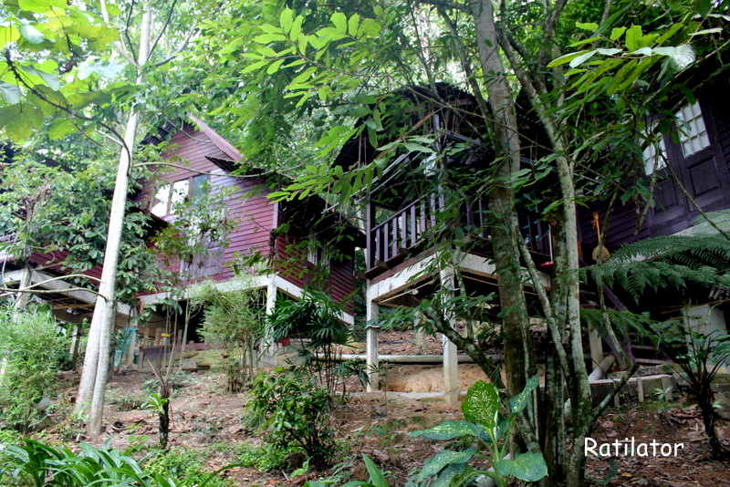 Camp Site @ El Sanctuary, Lendu