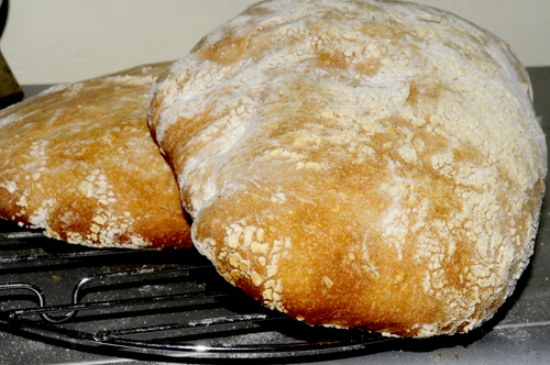 my discovery of Bread: Ciabatta with Stiff Biga
