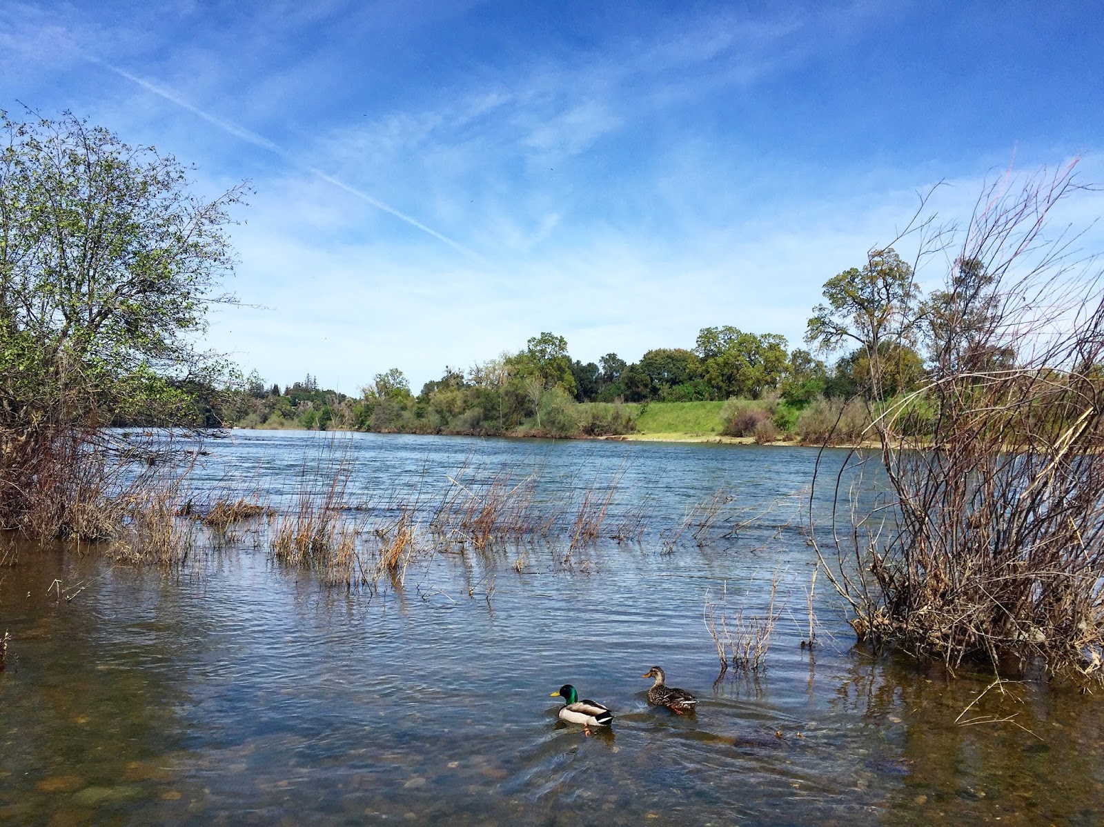 Run-Hike-Play: Effie Yeaw Nature Center 3/24/16