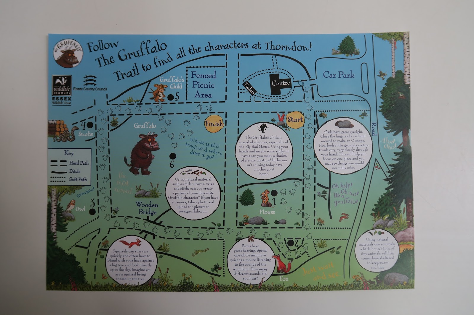 Gruffalo Trail | HAYLEY MARN