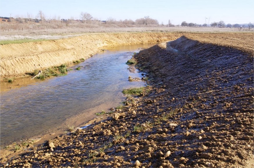 Ingeniería de la restauración ambiental y paisajismo