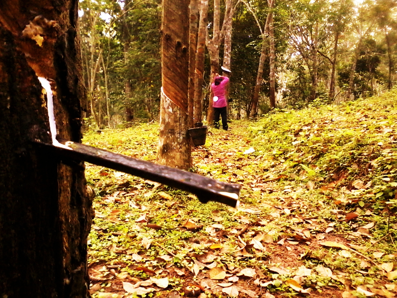 My New Me: Getah Skrap