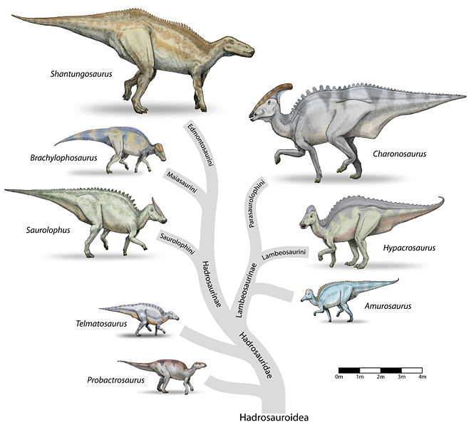 Species New to Science: [Paleontology] Hadrosauridae: Global Phylogeny ...