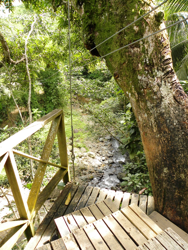 Travels - Ballroom Dancing - Amusement Parks: Tropical rainforest ...