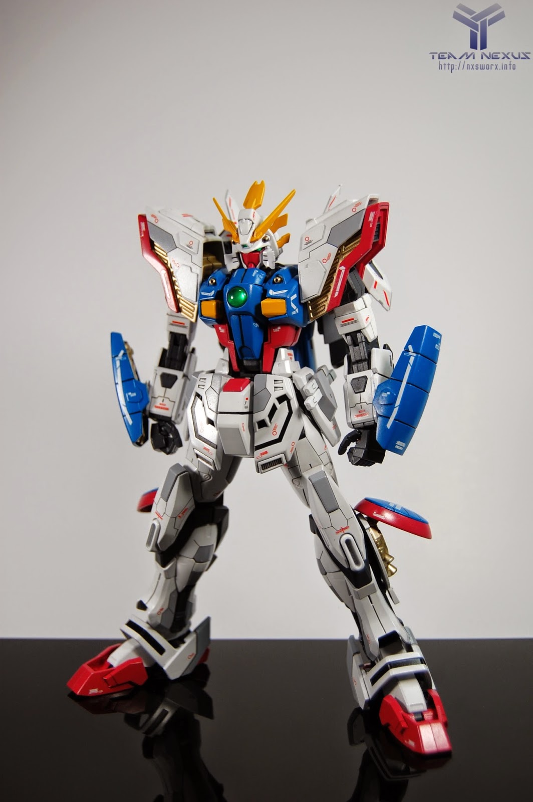 Custom Build: MG 1/100 Shining Gundam "Evolve"
