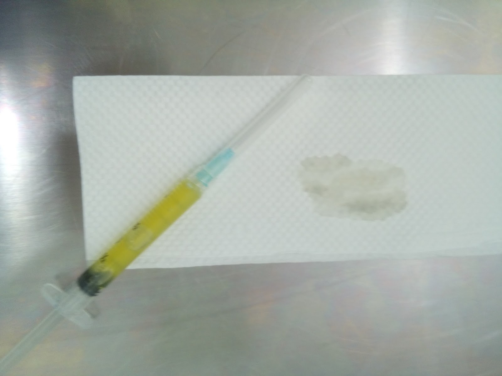 Klinik Hewan Bogor drh.Anastasia Narani: FIP (Feline Infectious ...