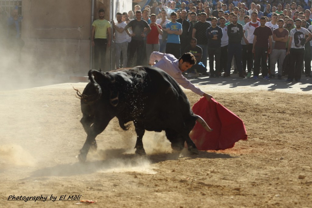 AMB ELS BOUS ABANS, ARA I SEMPRE: BOU DE PASQUA BENIFAIRÓ DE LES VALLS ...