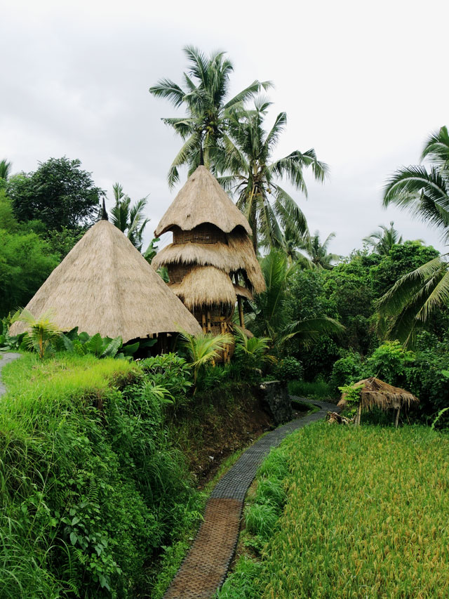 FIREFLY ECO LODGE IN UBUD, BALI