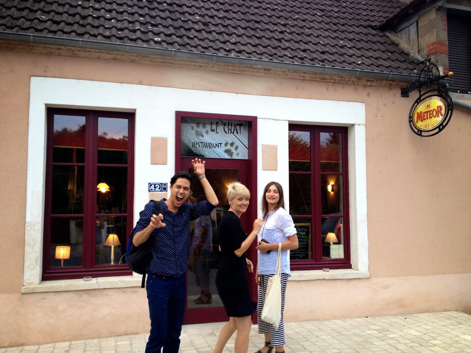 not drinking poison in paris: sancerre bike trip: le chat, cosne-sur-loire