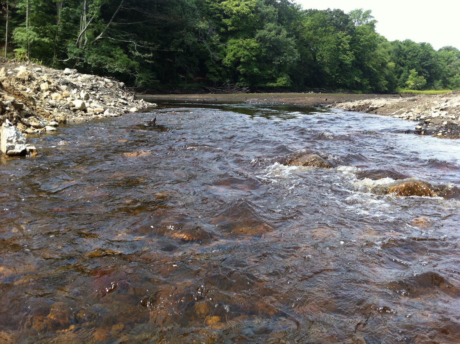 Mill River Restoration: The first riffle in 200 years