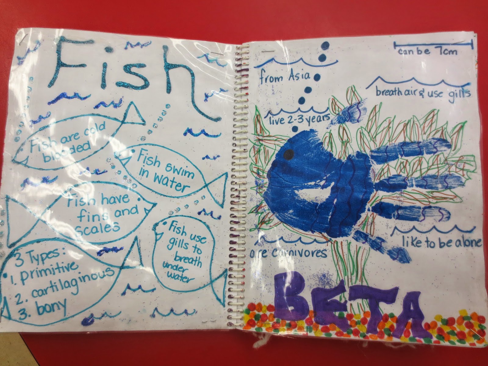 Visual Journals for Kids