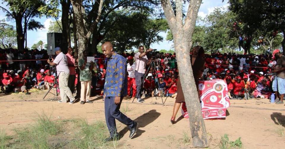 NewsdzeZimbabwe: ED IS CORRUPT : CHAMISA