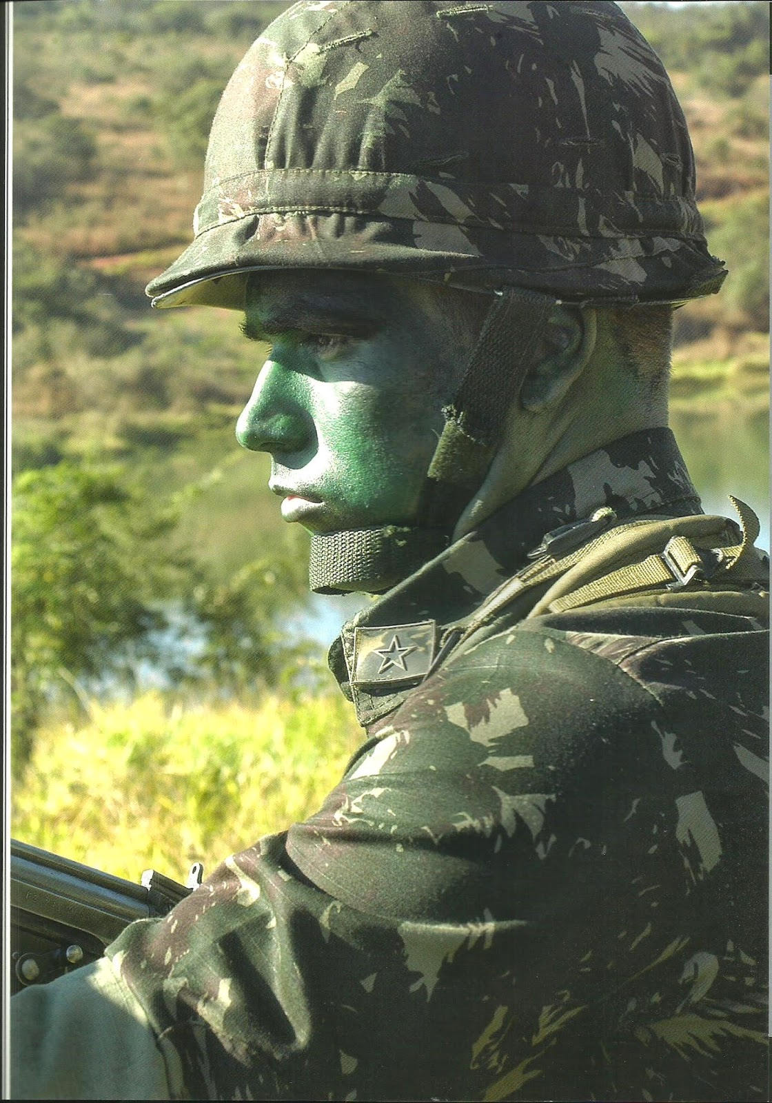 Blog do Marco Geib: AGOSTO, 25 DIA DEDICADO AO SOLDADO BRASILEIRO ...