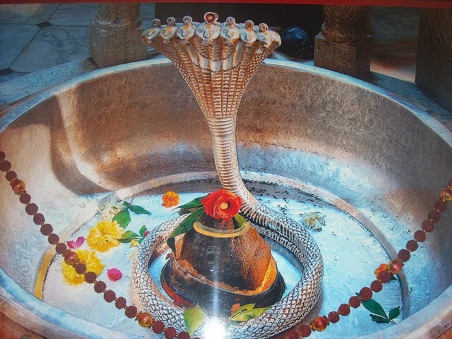 Shri Radhe Maa : Mahadev Kuber Bhandari Shiv Shanker the, giver of ...