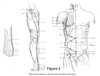Reikido: TEORIA DE LOS MERIDIANOS